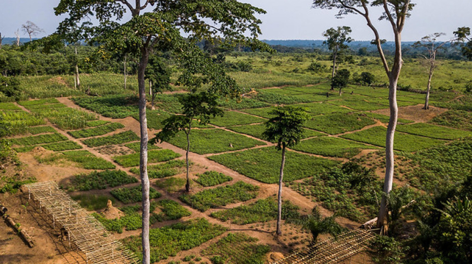Project Completed Biodiversity – IKI Indonesia